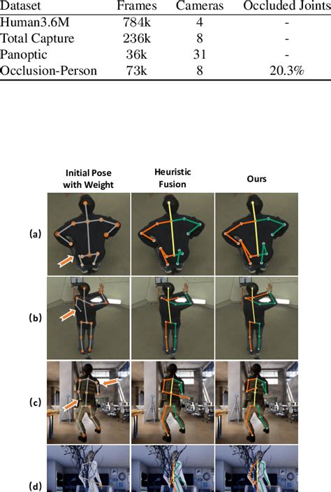 The Statistics Of The Public Multiview Pose Estimation Datasets Only