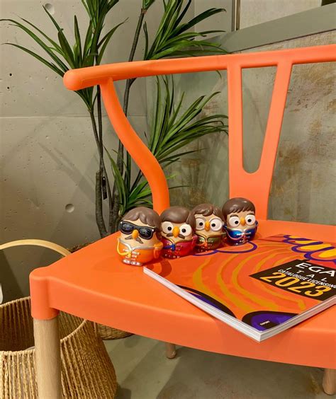 Cómo Escoger La Mejor Borada Para Suelos