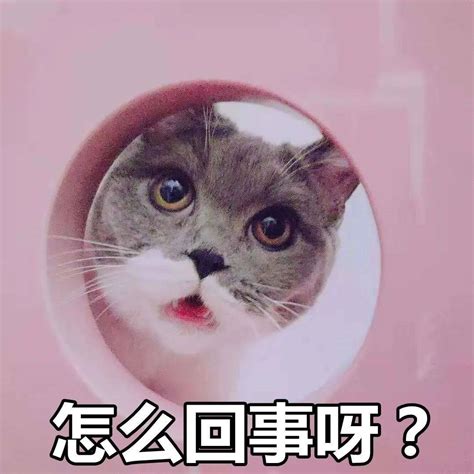 一个月吃空160袋鸡胸肉！30岁肌肉男拿到体检报告傻眼：我的肾怎么会这样！马先生