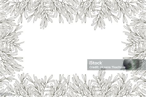 올리브 가지로 만든 직사각형 프레임 벡터 구성 디자인을 위한 텍스트가 있는 엽서와 스티커를 위한 구성 고대 그리스 양식에 대한 스톡 벡터 아트 및 기타 이미지 Istock