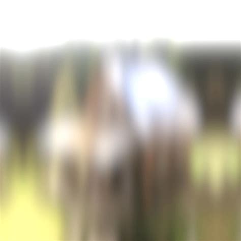 Get The Original Bug In Guide By Navy Seal Joel Lambert Get The Original Bug In Guide By