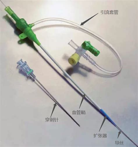 2024上海高端医疗设备展medtec讲解神外干货：神经介入通路的必备武器——鞘与导管