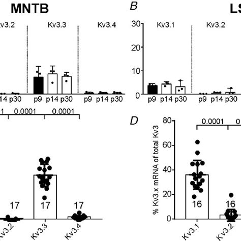 Joern Steinert Professor Assistant Phd Physiology University Of