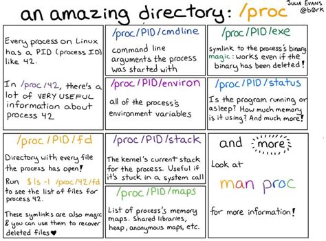 Infosec Pentesting Cybersecurity Redteaming Oscp Hacking
