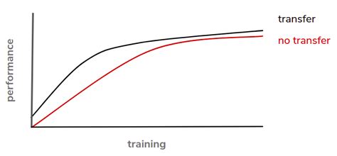 Wild Data Transfer Learning Deep Learning Blog