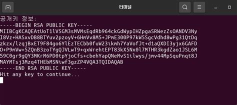 [c C ] Openssl 활용 Rsa 공개키 및 개인키 생성 예제 살구월드