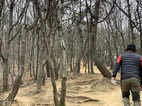 봄철 등산을 안전하게 즐기기 위한 주의사항과 필수 준비물을 소개합니다 등산초보부터 숙련자까지 꼭 알아야 할 정보