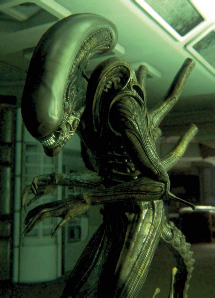 Avp Xenomorph Drone Thedemonapostle S Rpg Collections Wiki Fandom