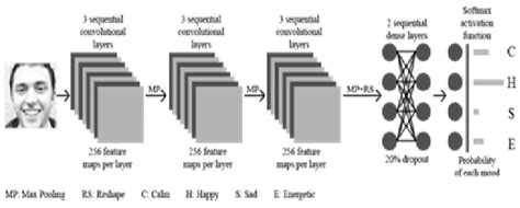 Cnn Method Process Cnn Is A Term Coined Originally By A Researcher Download Scientific Diagram