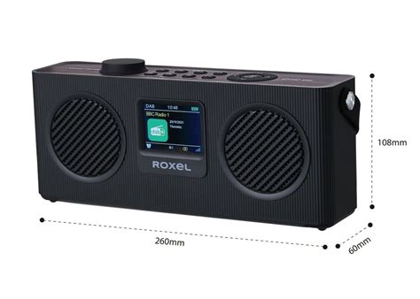 Roxel Rdr 80 Stereo Dabdab Digital And Fm Radio Portable Speaker With