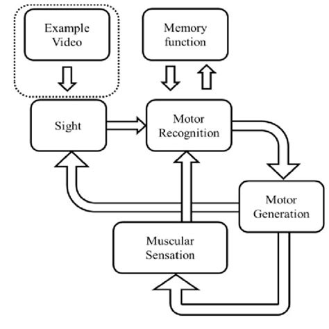 structure of visual synchronization task download scientific diagram
