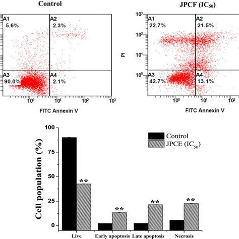 Induction Of Apoptosis And Necrosis In Mcf 7 Cells By J Phoenicea