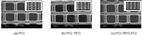 SEM Images Of A PCL B PCL PEG And C PCL PEG PCL Scaffolds Download Scientific Diagram