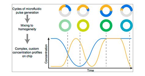 Microfluidic Module For Real Time Generation Of Complex Multimolecule Temporal Concentration