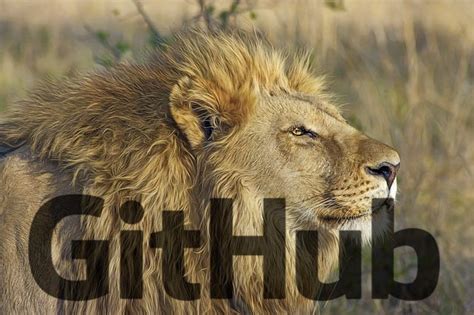Usando Github Com Anaconda Python 36 By Leandro Cruvinel Medium