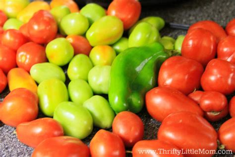 Easy Homemade Garden Veggie Pizza Recipe Thrifty Little Mom