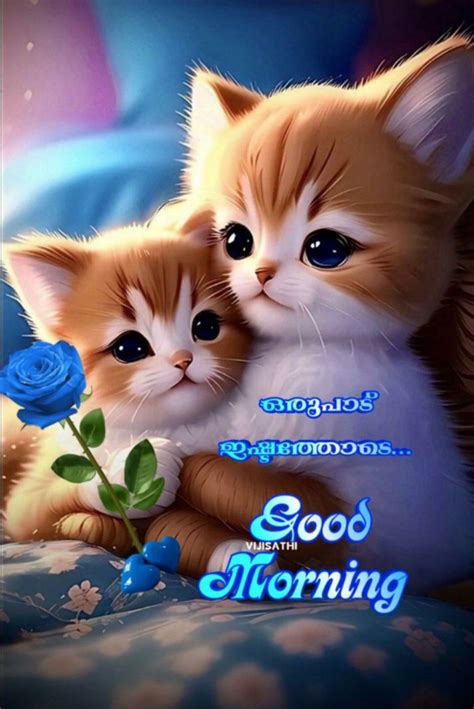 Cute Good Morning Quotes With Kittens