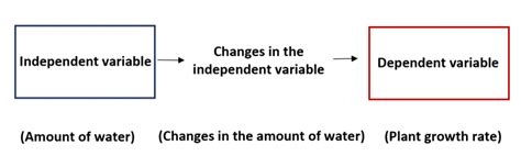 Independent Vs Dependent Variables What S The Difference