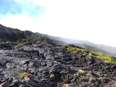 Climbing Mount Pico All You Need To Know For An Epic And Safe Hike