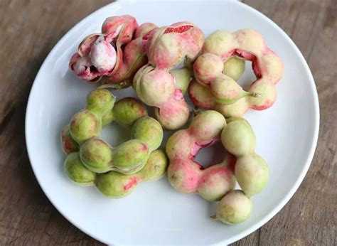 Jungle Jalebi A Rare Delight Of Summer