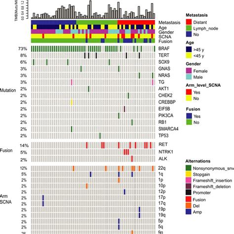 The Genetic Landscape For 66 Papillary Thyroid Carcinoma Ptc Cases Download Scientific