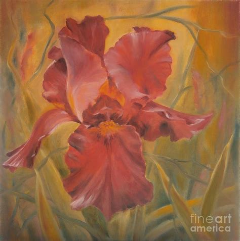 Red Iris Painting By Hana Dankova Fine Art America