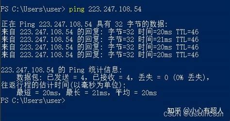 某个网站（比如csdn、github）突然打开、加载很慢，有些途径访问正常、其他网站访问正常，可尝试指定域名服务器的ip地址，不走dns查询