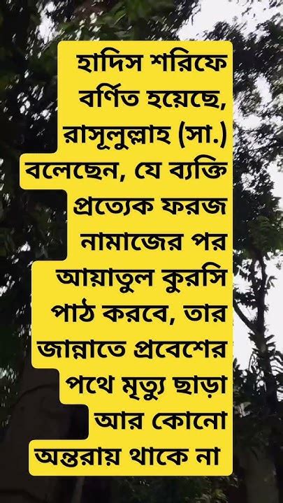 আয়াতুল কুরসি আমল ও দোয়া জান্নাত লাভের সহজ দোয়া Ayatulkursi Surahbaqarah সূরা বাকারা