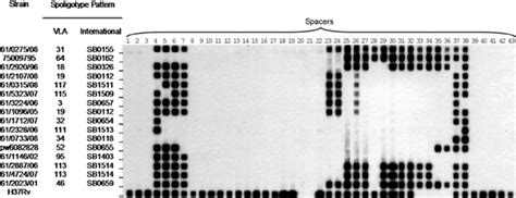 Sample Of M Microti Spoligotype Patterns Identified Between 1994 And