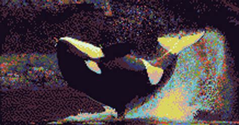 Online Image And Video Dithering Tool Floyd Steinberg Bayer Atkinson