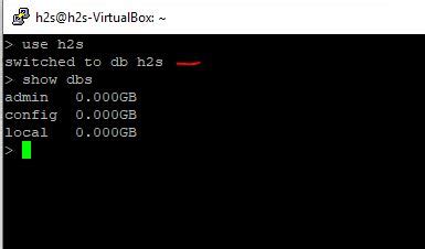 Mongodb Installation On Ubuntu 19 04 Via Command Terminal H2S Media
