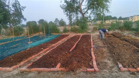 Shreeji Biotech Preparation Of Vermicompost Bed With Low