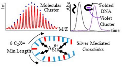 重复和折叠的dna序列及其模块化的ag 10 6 簇the Journal Of Physical Chemistry C X Mol