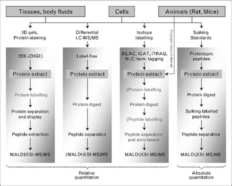 Approaches To Quantitative Proteomics And Their Applicability To Download Scientific Diagram