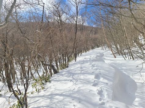竹内潤平株式会社アルビノ on Twitter 今日は赤城の長七郎山でスノーハイク アルビノ登山部