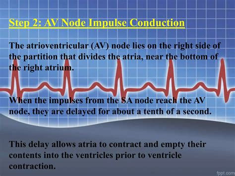 Generation And Conduction Of Cardiac Impulse Ppt