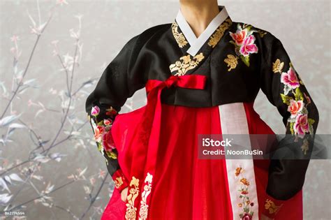 여자는 화려한 한 복을 입고 한국 전통적인 동양 꽃 배경에서 드레스 한복에 대한 스톡 사진 및 기타 이미지 한복 리본