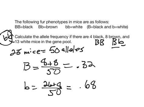 Calculating Allele Frequency Stepping Into The Genetic Landscape