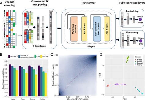 Deep Learning Predicts Dna Methylation Regulatory Variants In The Human Brain And Elucidates The