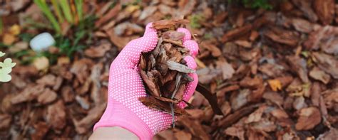 Tree Services WA Treeworks