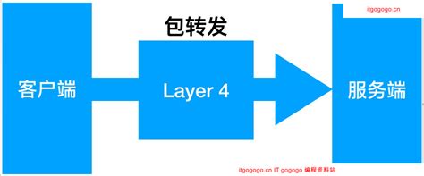 13、nginx 实战：nginx七层负载均衡 Nginx实战（二） Itgogogo Cn