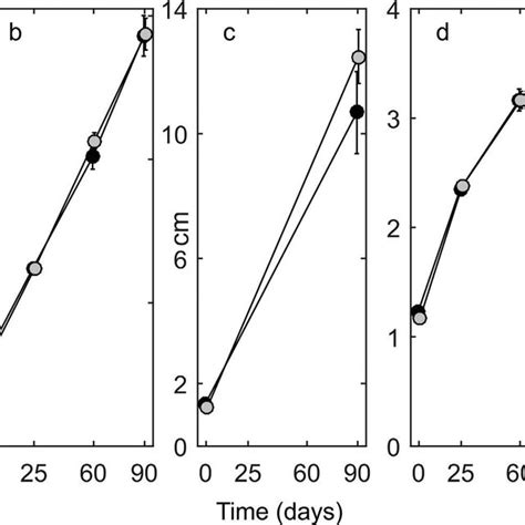 Leaf Width A Maximum Leaf Length B Root Length C Number Of