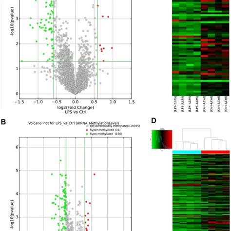 Overview Of The M 6 A Methylation Map In Aortic Tissues A Scatter
