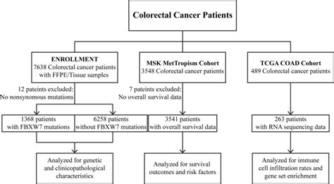 Comprehensive Characterization Of Fbxw7 Mutational And