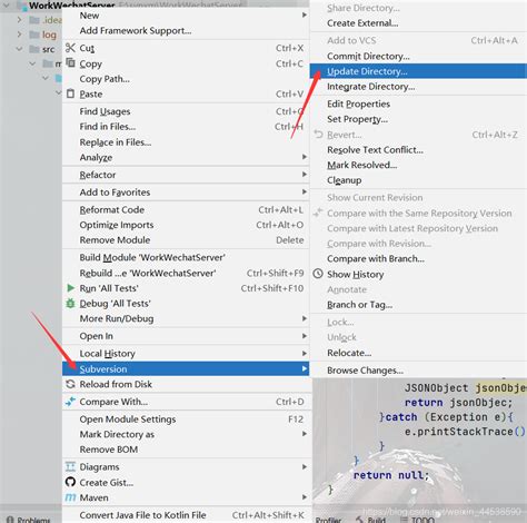 error svn e155004 run ‘svn cleanup‘ to remove locks type ‘svn help