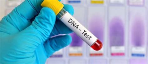 Denise Pipitone Test Del Dna Su Ragazza Bosniaca Cauti I Genitori