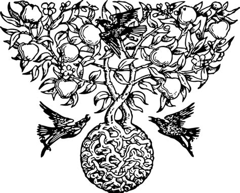 Intertwined Tree Tattoo Drawings