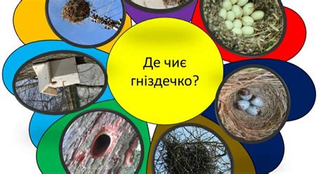 Дидактична гра Де чиє гніздечко Інші методичні матеріали