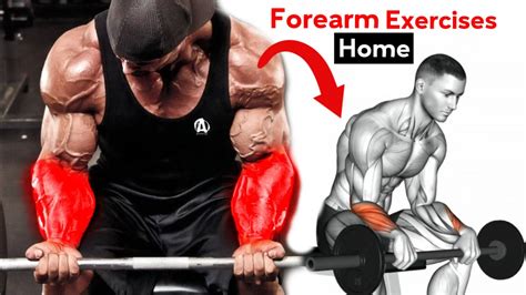 Best 5 Forearm Exercises For Big Forearms Full Forearm Workout Routine Forearm Training