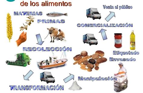 Ejemplo De Un Proceso De Transformacion De Un Producto Ejemplo Sencillo